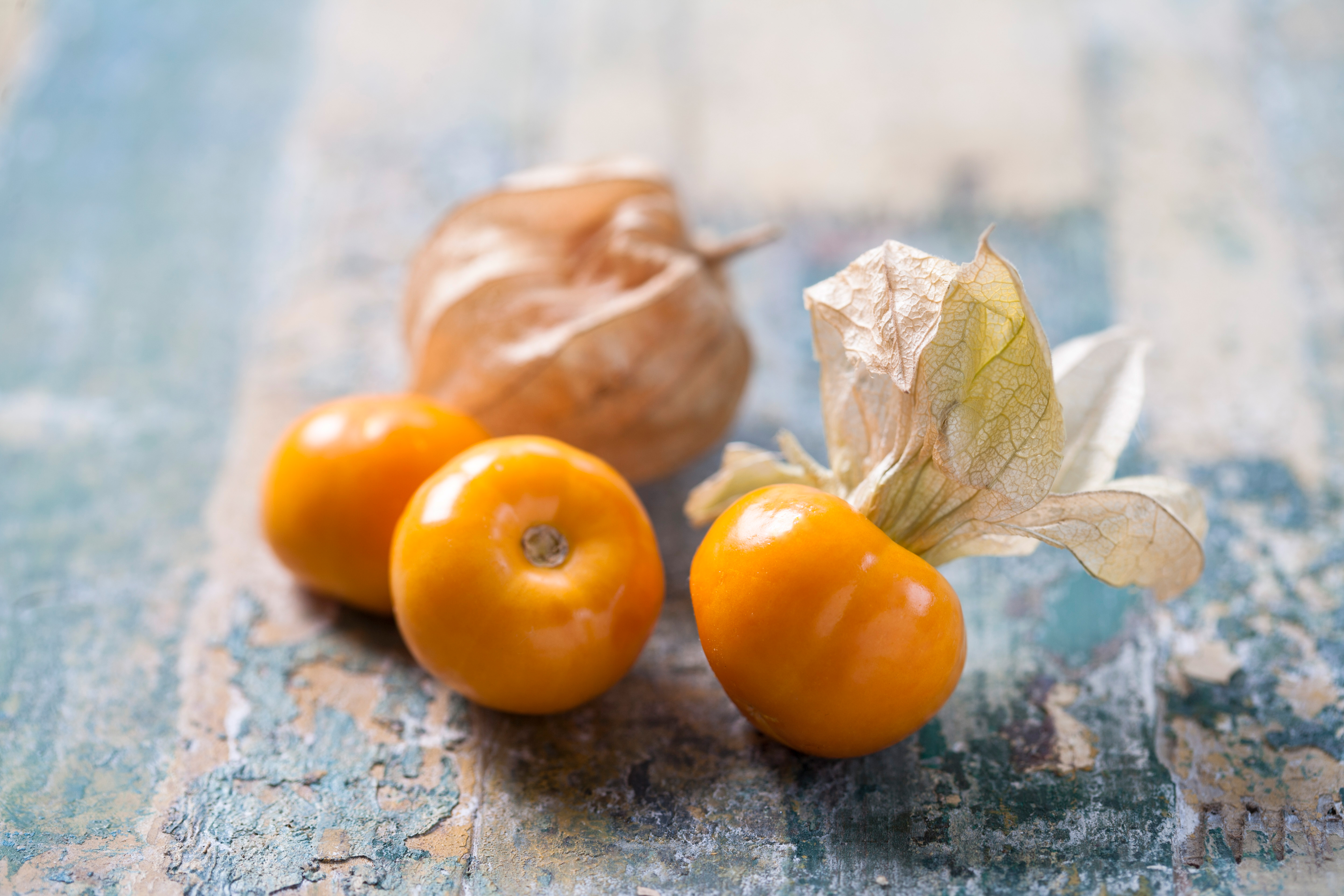 Physalis peruviana Goldvital Maxi | Jaunstādi | Onava.lv