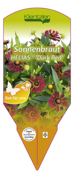 Helenium HELIAS Dark Red | Jaunstādi | Onava.lv